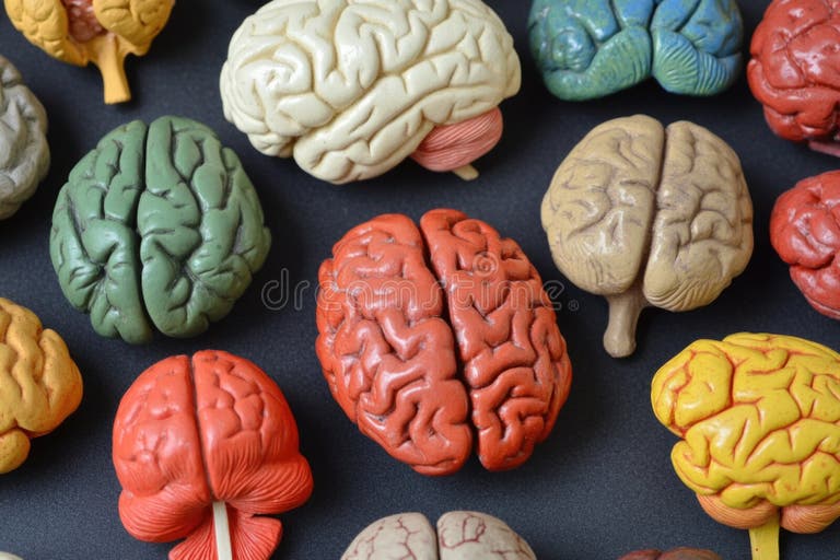 Multi-Colored Brain Models Floating Seamlessly on Dark Background ...