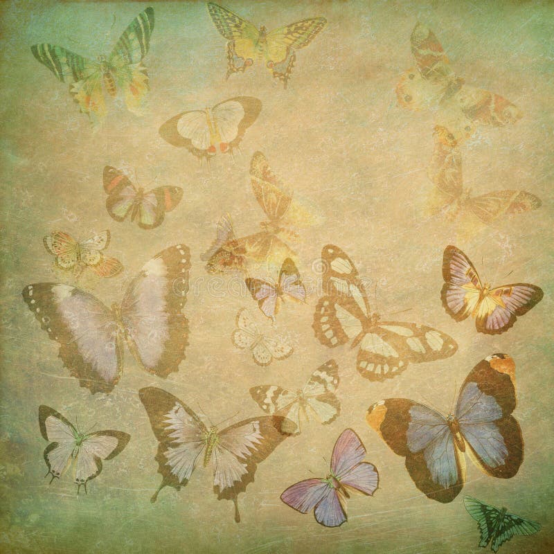 Vintage Butterfly Background Collage Stock Illustration - Illustration ...