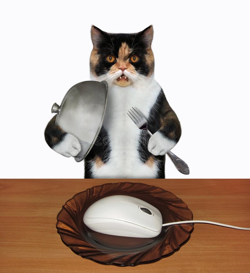 Cat Wants To Eat Mouse Burger Stock Photo - Image of breakfast, feed ...