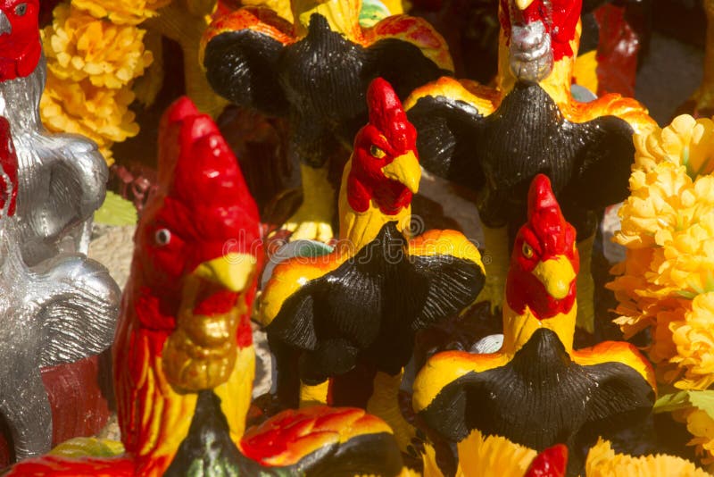 Colored chicken editorial stock photo. Image of farm - 45606893