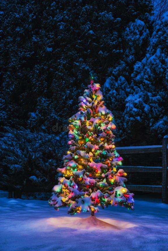 Multi-Colored Christmas Tree at Night while Snowing Stock Photo - Image ...