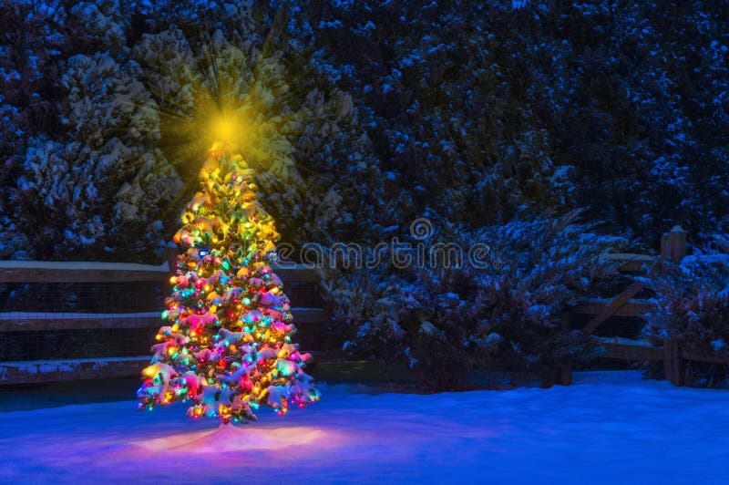 Multi-Colored Christmas Tree at Night while Snowing Stock Photo - Image ...