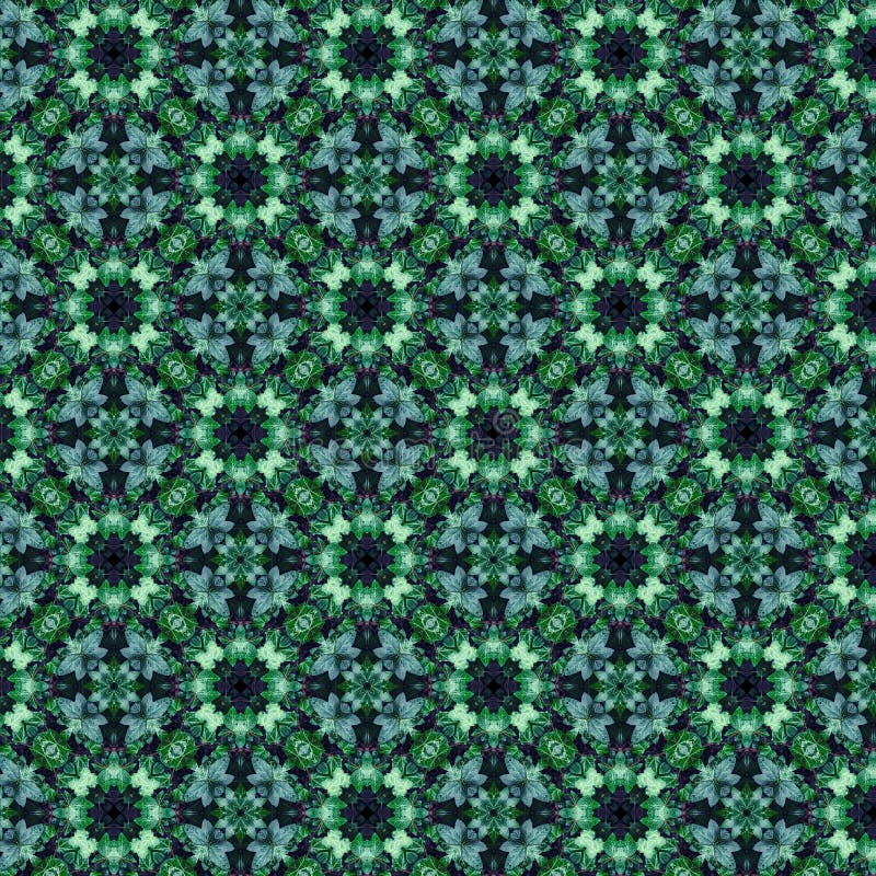 Design of Motive Pattern with Organic, Flowers, Stars and Abstract Form ...