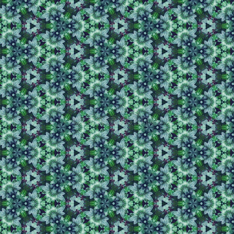 Design of Motive Pattern with Organic, Flowers, Stars and Abstract Form ...