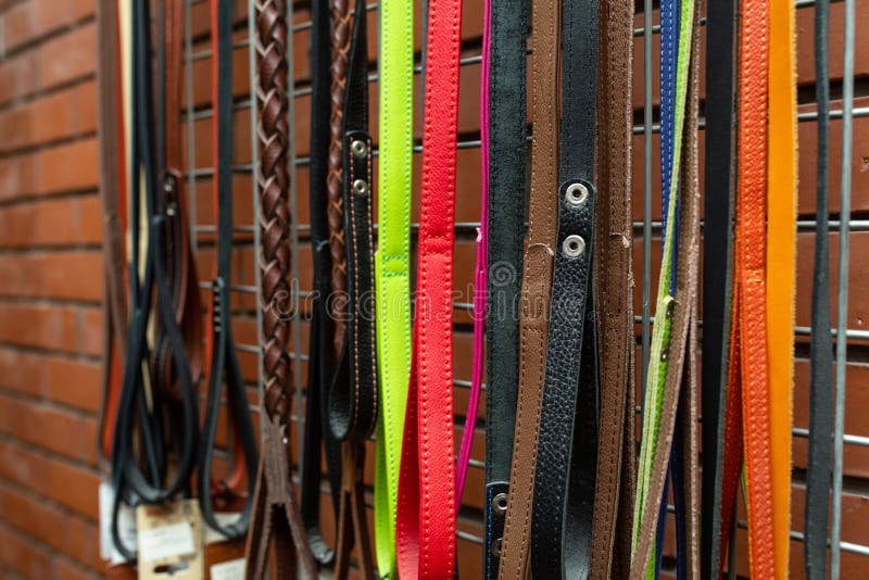 Multi-colored Dog Leashes on the Showcase in the Pet Shop Stock Image ...