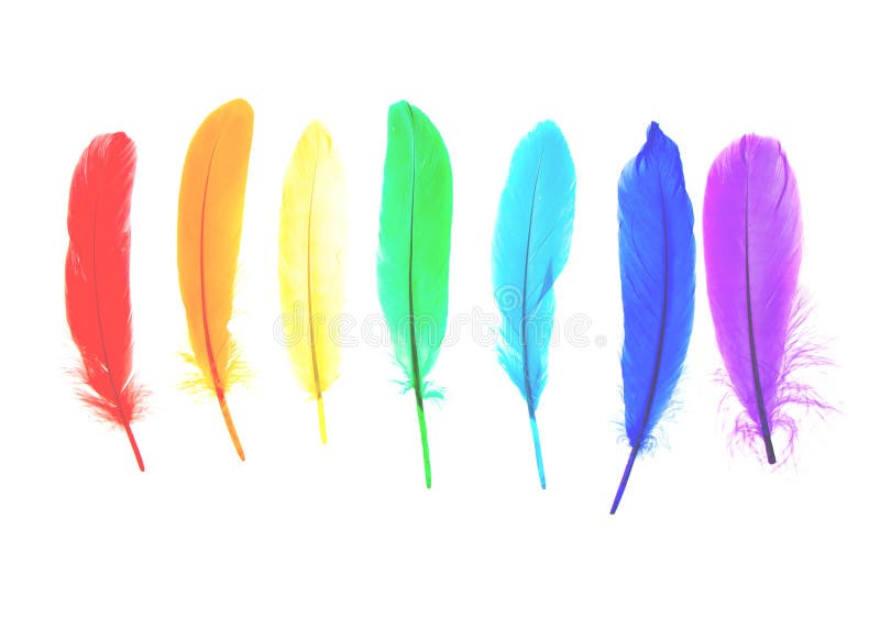 Multi-colored Feathers Isolated on a White Background. Trendy Colors ...