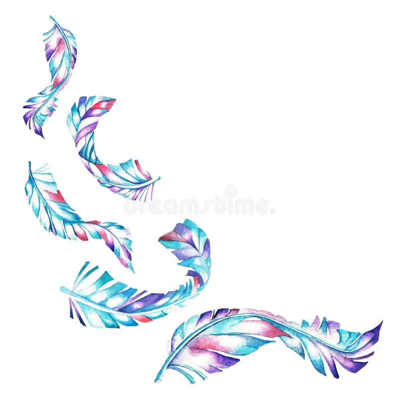 Multi-colored Feathers. Watercolor Stock Illustration - Illustration of ...