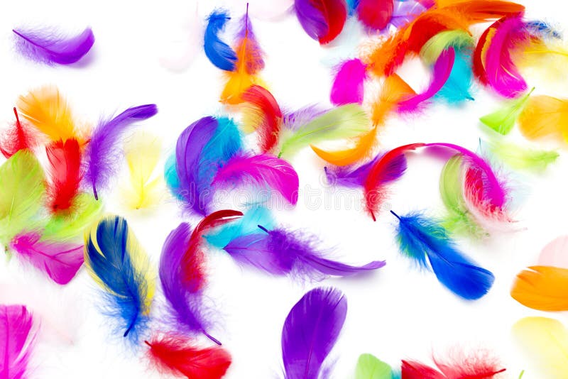 Multi-colored Feathers on a White Background Stock Image - Image of ...