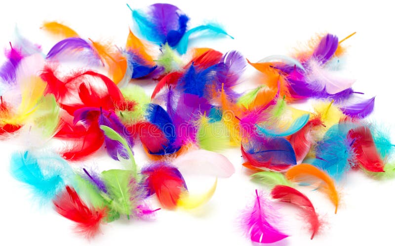 Multi-colored Feathers on a White Background Stock Photo - Image of ...