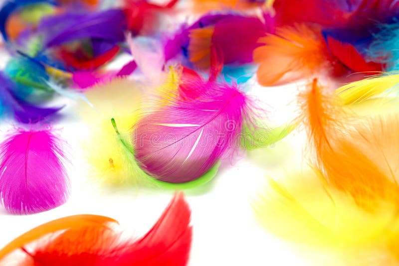 Multi-colored Feathers On A White Background Stock Image - Image of ...