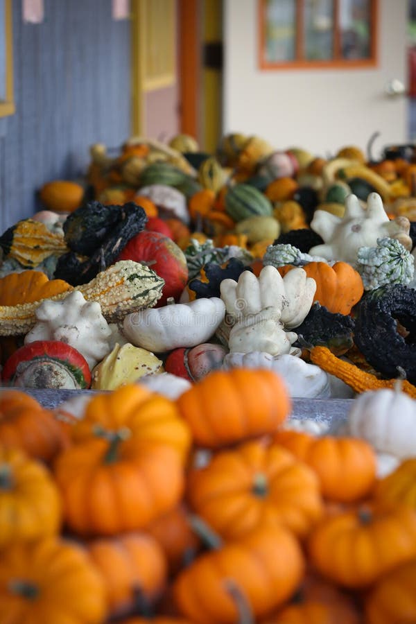 Multi Colored Gourds at a Farmer`s Market Stock Photo - Image of mini ...