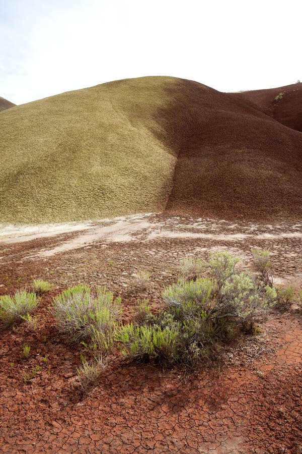 Multi colored hills. stock photo. Image of colorful, tourism - 19831330