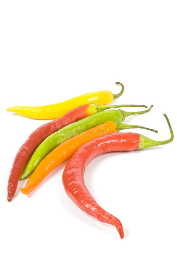 Chili Ristras stock photo. Image of food, pungent, southwest - 7280290