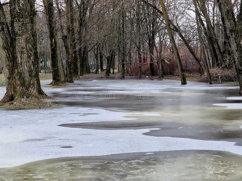 Multi-colored Ice between the Trees. Stock Image - Image of multi ...