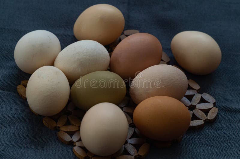 Multi-colored Large Chicken Eggs from Domestic Chickens. Stock Photo ...