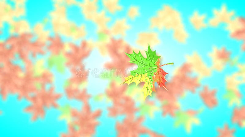 A Multi-colored Maple Leaf Falls Slowly Downward Rotating Stock Footage ...