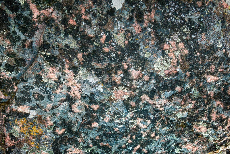 Multi-colored Mold Texture on the Stones Stock Image - Image of green ...