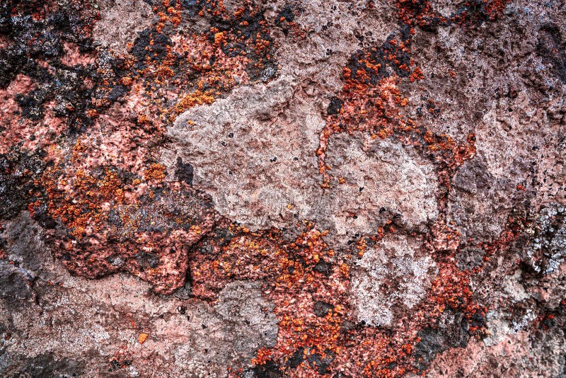 Multi-colored Mold Texture on the Stones Stock Image - Image of gray ...