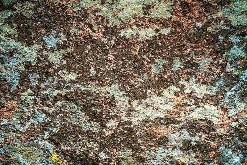 Multi-colored Mold Texture on the Stones Stock Photo - Image of black ...