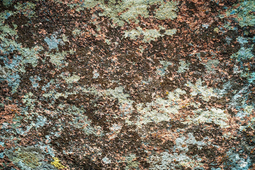 Multi-colored Mold Texture on the Stones Stock Photo - Image of black ...