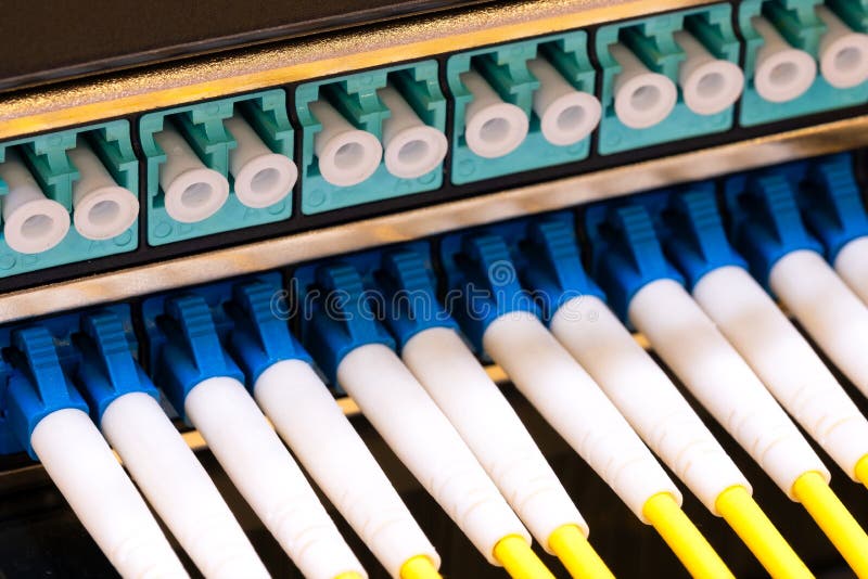 Multi Colored Network Cables Connected To Switch, Network Technology ...