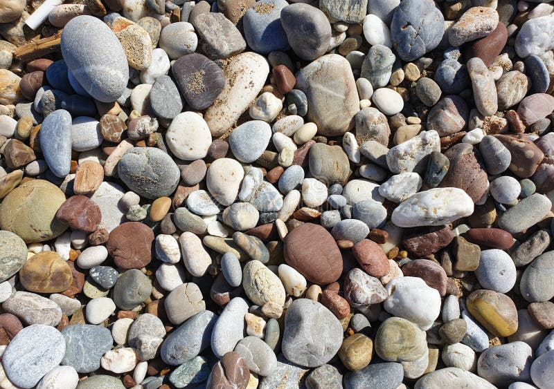 Multi-colored Pebbles of Different Shapes on the Sandy Shore Stock ...
