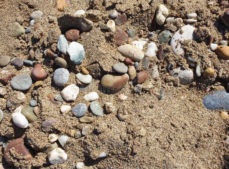 Multi-colored Pebbles of Different Shapes on the Sandy Shore Stock ...