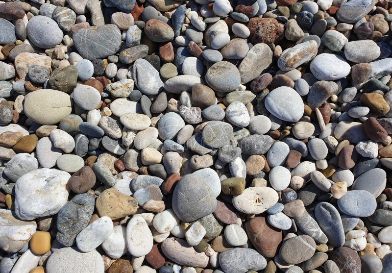 Multi-colored Pebbles of Different Shapes on the Sandy Shore Stock ...