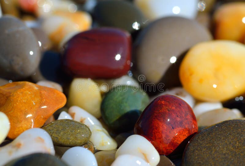 Multi-colored pebbles stock image. Image of fresh, stones - 52390909