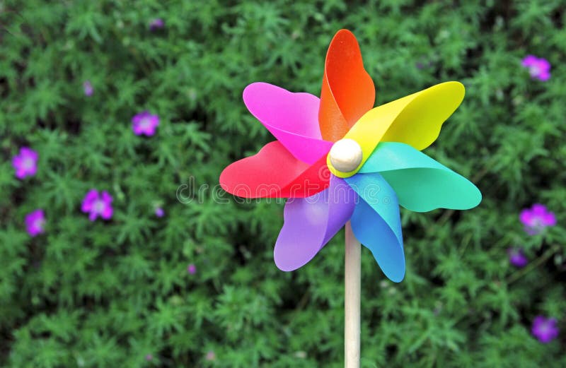 Multi Colored Pin Wheel, Green Background Stock Photo - Image of ...