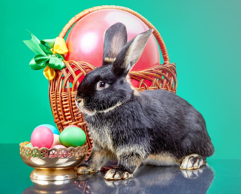 Multi-colored Rabbit Sitting Near Wicker Basket and a Vase with Easter ...