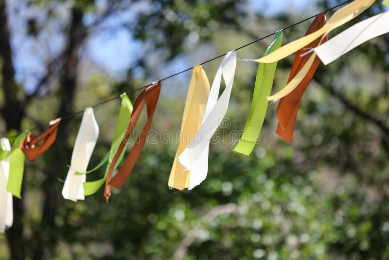 Multi-colored Ribbons Hang in the Park Stock Photo - Image of happy ...