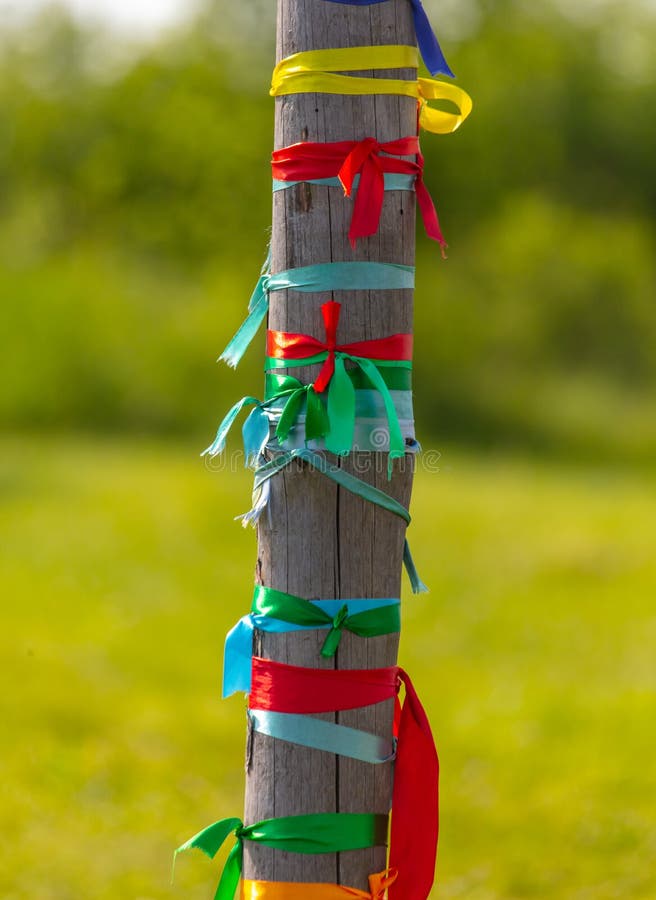Multi-colored Ribbons on a Log. Stock Image - Image of tree ...