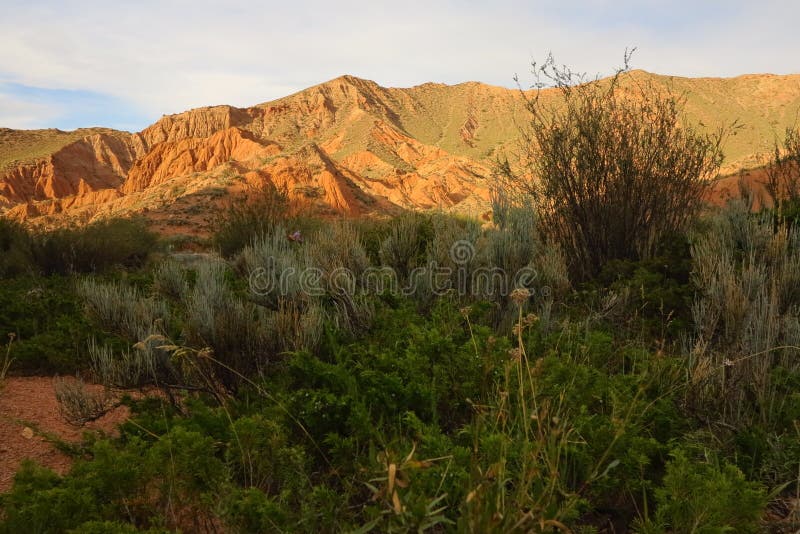 Multi-colored Rocks in the Steppes Stock Image - Image of grass, sand ...