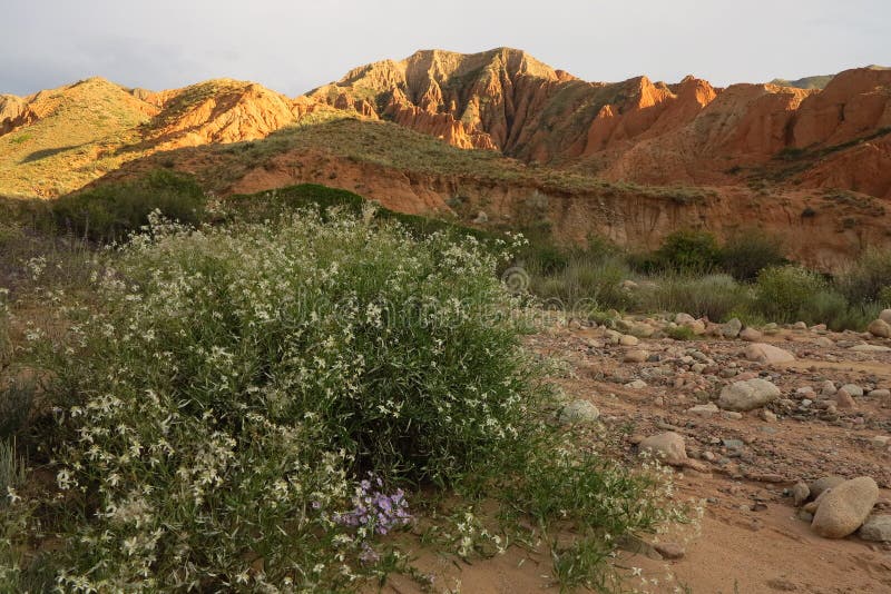 Multi-colored Rocks in the Steppes Stock Photo - Image of landscape ...