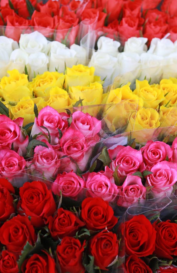 Multi Colored Rose Bunches at a Market Stock Image - Image of copy ...