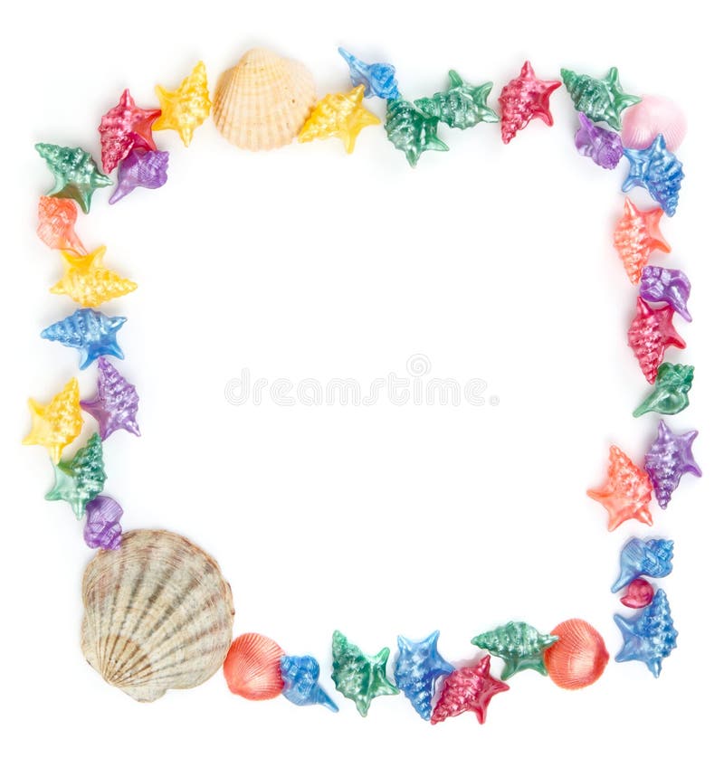 Multi-colored shells stock photo. Image of nature, design - 22956116