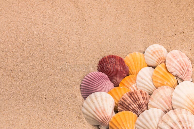Multi-colored Shells on the Sand, Background for Travel Advertising ...