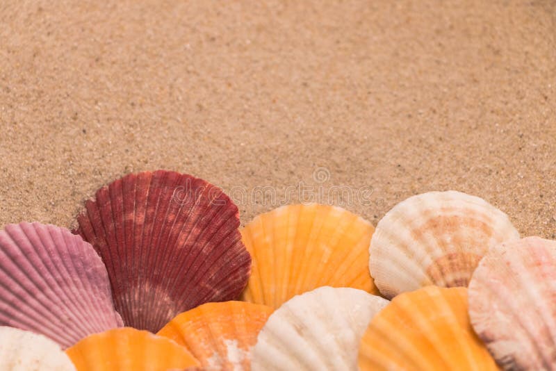 Multi-colored Shells on the Sand, Background for Travel Advertising ...