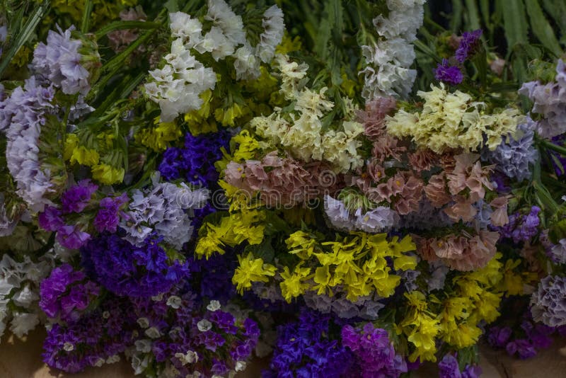 Multi-colored Small Flowers. Amazing Floral Background with Delicate ...