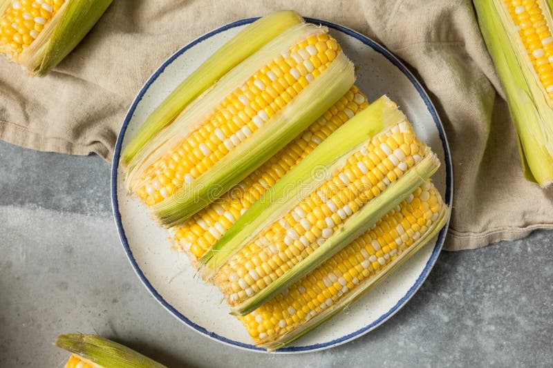 Multi Colored Sweet Corn on the Cob Stock Image - Image of nutrition ...