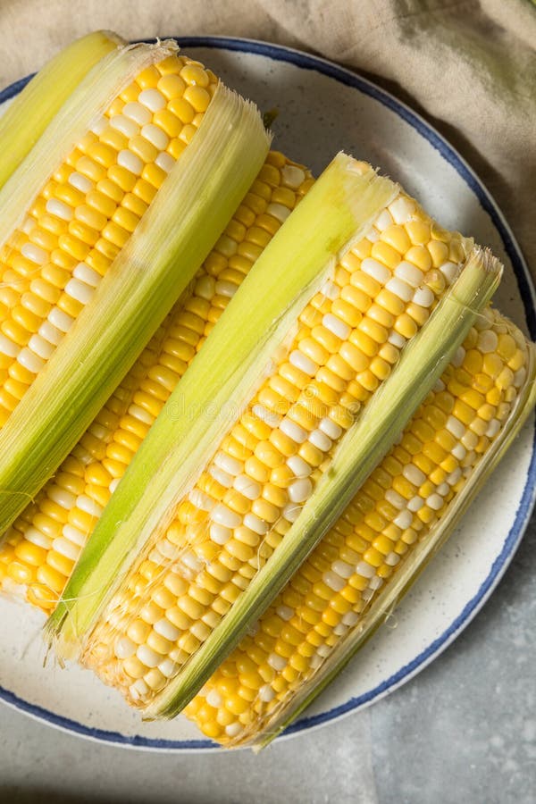 Multi Colored Sweet Corn on the Cob Stock Image - Image of grain ...