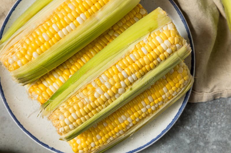 Multi Colored Sweet Corn on the Cob Stock Photo - Image of grain, corn ...