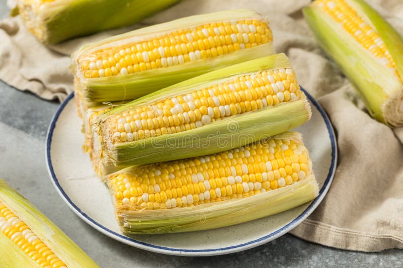 Multi Colored Sweet Corn on the Cob Stock Photo - Image of food ...