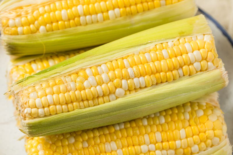Multi Colored Sweet Corn on the Cob Stock Photo - Image of kernel, meal ...