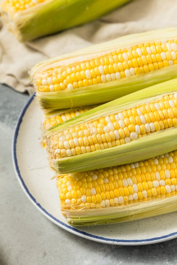 Multi Colored Sweet Corn on the Cob Stock Image - Image of healthy ...