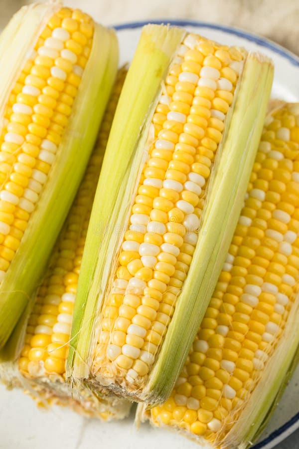 Multi Colored Sweet Corn on the Cob Stock Image - Image of yellow ...