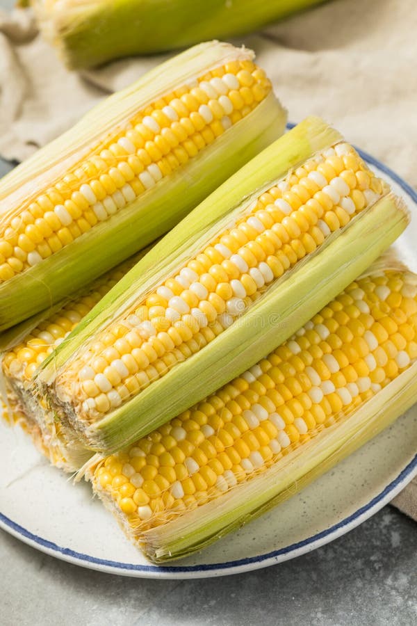 Multi Colored Sweet Corn on the Cob Stock Photo - Image of vegetable ...