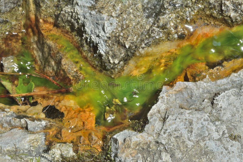 Multi-colored water 14 stock photo. Image of macro, green - 145810542