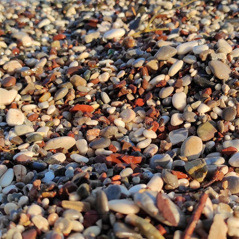 Multi-colored Water-polished Pebbles Close-up on the Seashore in ...